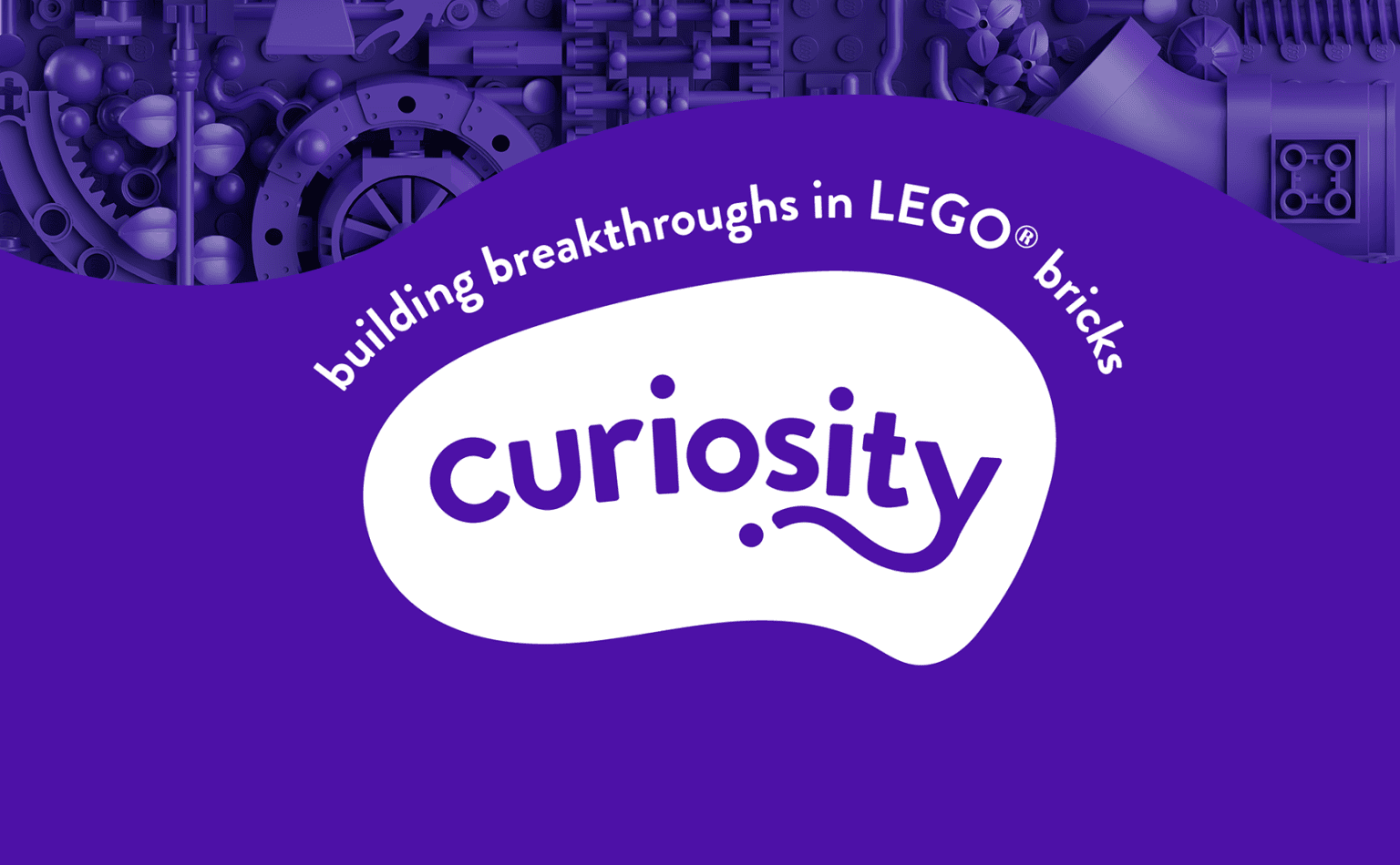 Curiosity Exhibition by Ryan "Brickman" McNaught